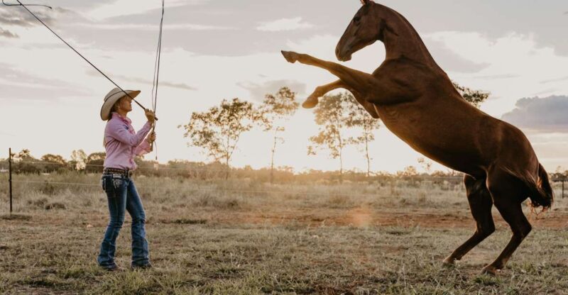 Katherine: Authentic Outback Show and Live Music - A Closer Look at What the Tour Offers