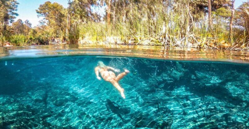 Katherine Gorge - Mataranka - Edith Falls - Adelaide River - An In-Depth Look at Your Northern Territory Adventure