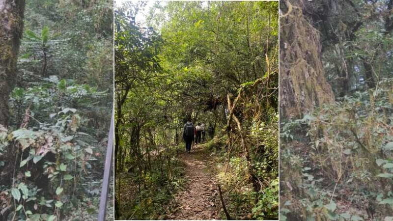 Kathmandu: 1N-2D Hiking to Chisapani and Nagarkot - Key Points