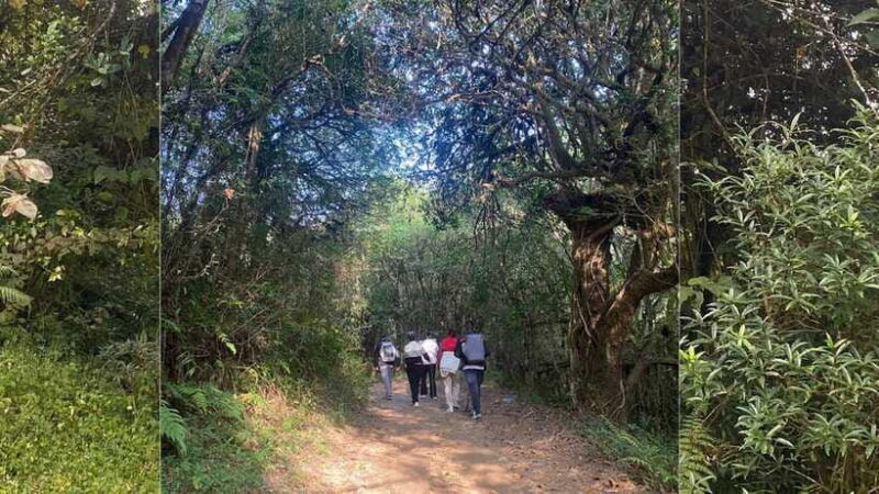 Kathmandu: 1N-2D Hiking to Chisapani and Nagarkot - The Itinerary: What Makes This Trek Special