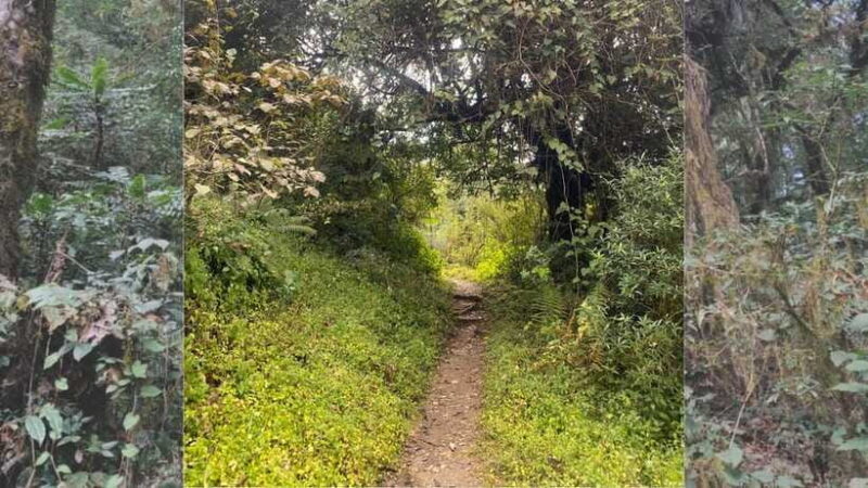 Kathmandu: 1N-2D Hiking to Chisapani and Nagarkot - Preparing for the Trek: What You Need to Bring