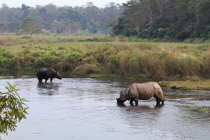 Kathmandu 2 Nights 3 Days Chitwan Jungle Safari Tour - An Authentic Nepalese Wilderness Experience