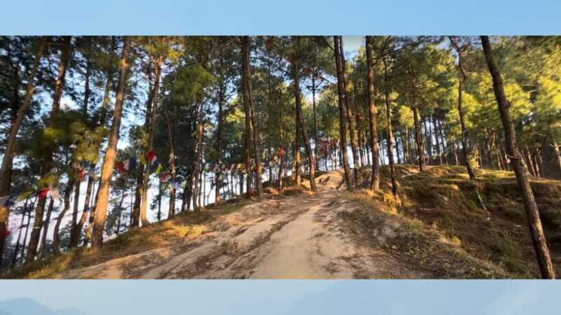 Kathmandu: 3-4 Hrs Hiking at Shivapuri National Park - Key Points