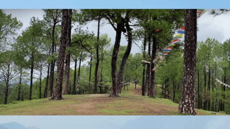 Kathmandu: 3-4 Hrs Hiking at Shivapuri National Park - An In-Depth Look at the Trekking Experience