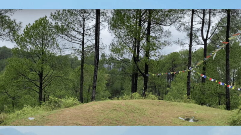 Kathmandu: 3-4 Hrs Hiking at Shivapuri National Park - What Other Travelers Say