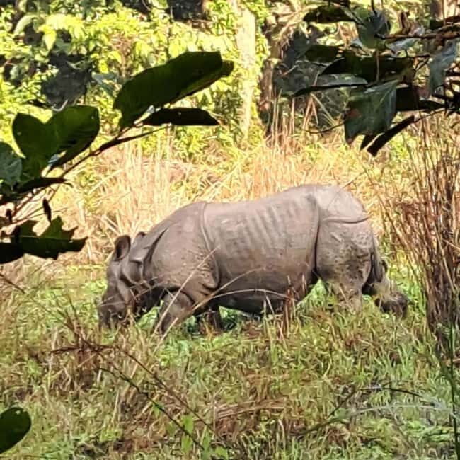 Kathmandu: 3-Day Chitwan Safari Tour with Hotel Transfers - FAQ Section