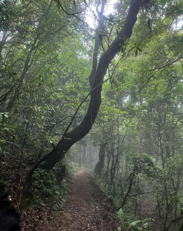 Kathmandu: 3-Day Shivapuri Wellness & Recreation Package - Key Points