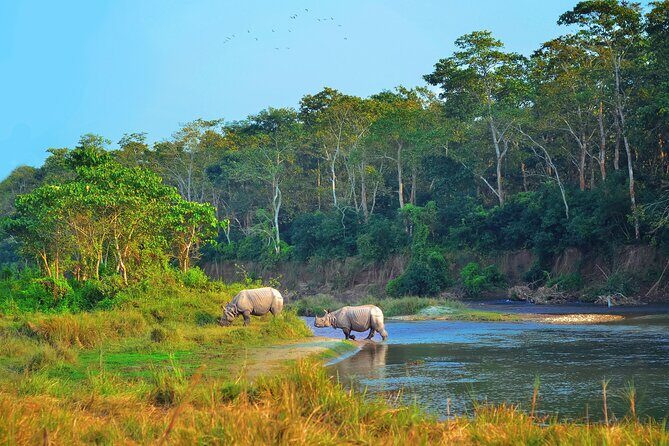 Kathmandu: 3 Days Chitwan Jungle Safari Private Tour - A Closer Look at the 3-Day Chitwan Jungle Safari