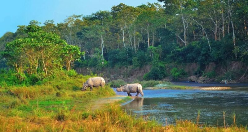 Kathmandu: 4-Day Private Chitwan National Park Safari Tour - Starting Your Journey: From Kathmandu to Chitwan