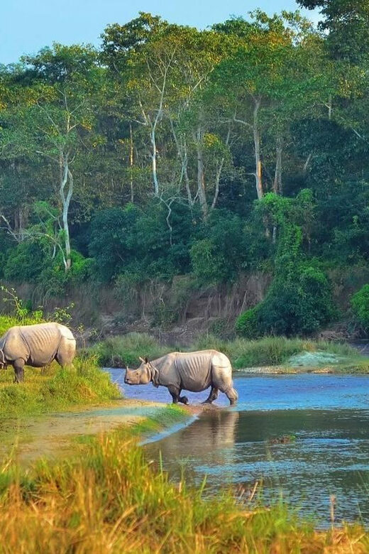 Kathmandu: 4-Day Private Chitwan National Park Safari Tour - Final Thoughts: Who Will Love This Tour?