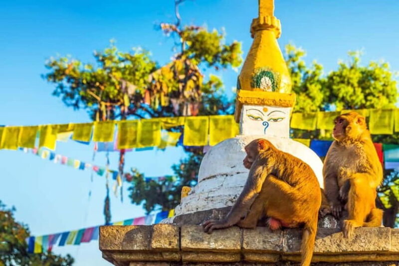 Kathmandu 4-Heritage Sites Tour - Frequently Asked Questions