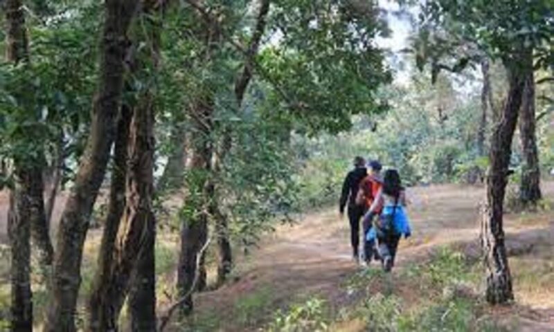 Kathmandu: 5-Day Kathmandu, Bhaktapur, and Nagarkot Tour - Who Will Love This Tour?