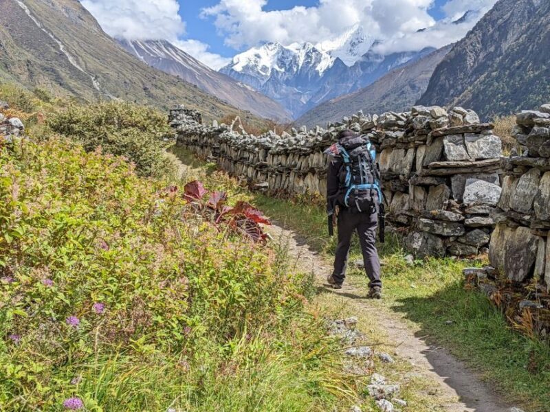 Kathmandu: 6-Day Limitless Langtang Trek - What’s Included and What’s Not