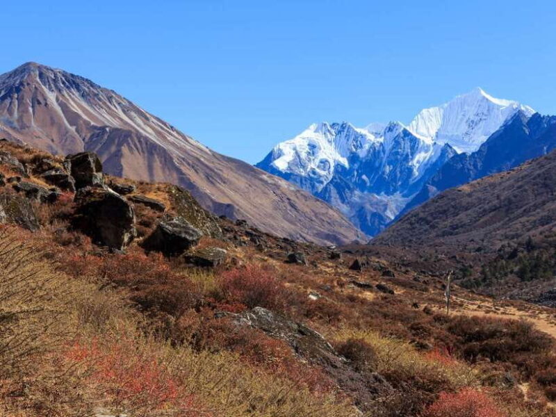 Kathmandu: 6 Days Langtang Valley Trek with Kyanjin Ri - What Sets This Trek Apart?
