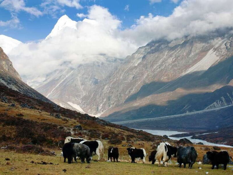 Kathmandu: 6 Days Langtang Valley Trek with Kyanjin Ri - FAQ