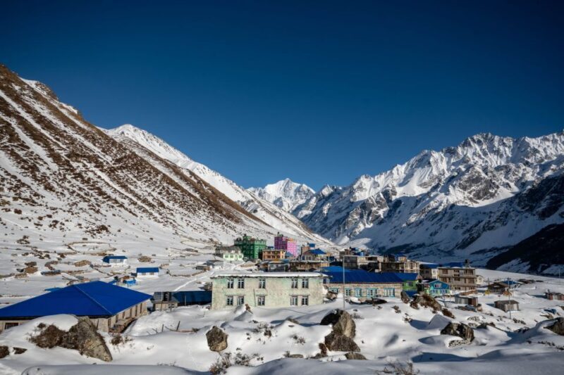 Kathmandu: 7 Day Langtang Valley Trek - What Our Reviews Say