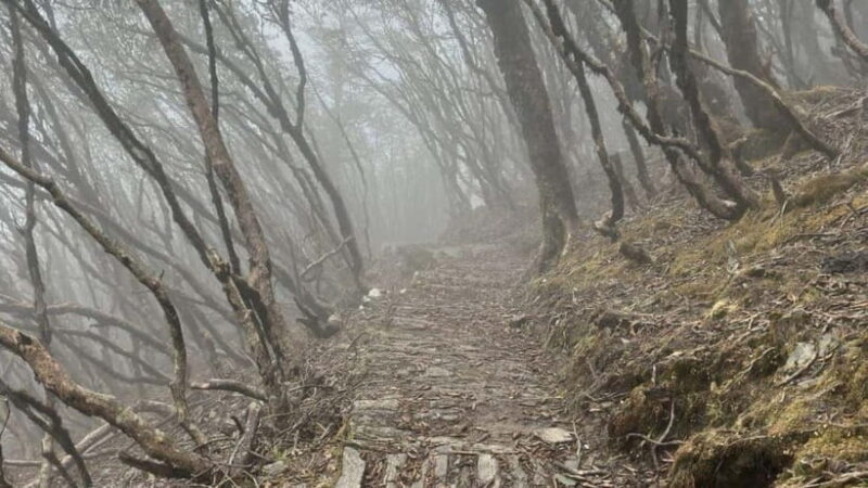 Kathmandu: 8-Day Pikey Hill Trek - Why the Pikey Hill Trek Offers More Than Just Mountains