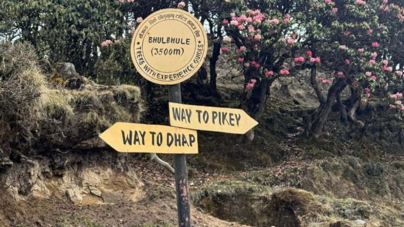 Kathmandu: 8-Day Pikey Hill Trek - Support and Comfort: What’s Included