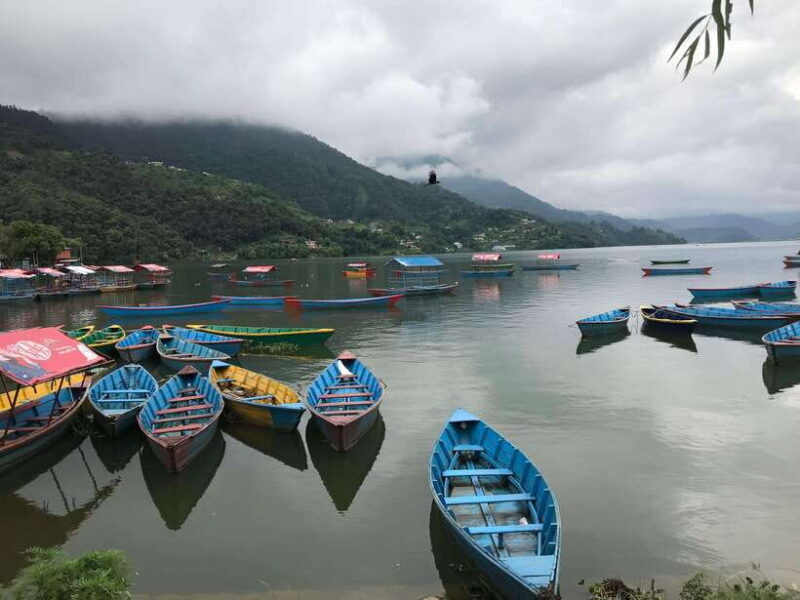 Kathmandu: 8 days Nepal tour (Kathmandu, Chitwan & Pokhara) - The Journey in Detail: What to Expect at Each Stop