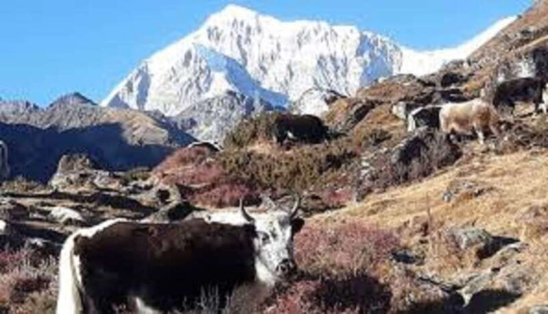 Kathmandu: 8 Night 9 Days Dudh kunda Trek - Key Points