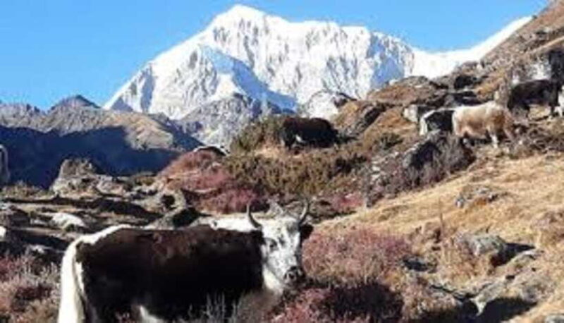 Kathmandu: 8 Night 9 Days Dudh kunda Trek - Final Thoughts