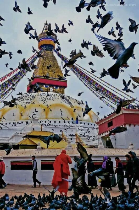 Kathmandu: Bhutan, Lhasa, and Nepal 10-Day Tour - Key Points