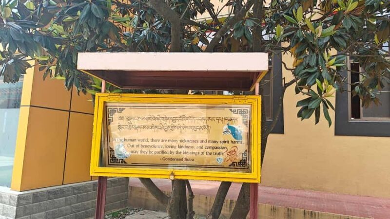 Kathmandu: Buddhist Stupas Tour with Kapon Monastery Visit - Authenticity and Cultural Depth