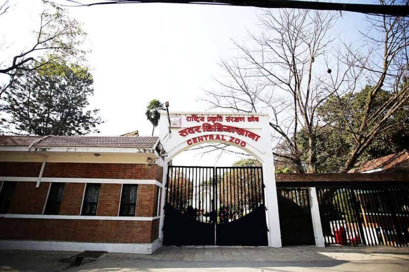 Kathmandu: Central Zoo Tour - A Thorough Breakdown of the Itinerary