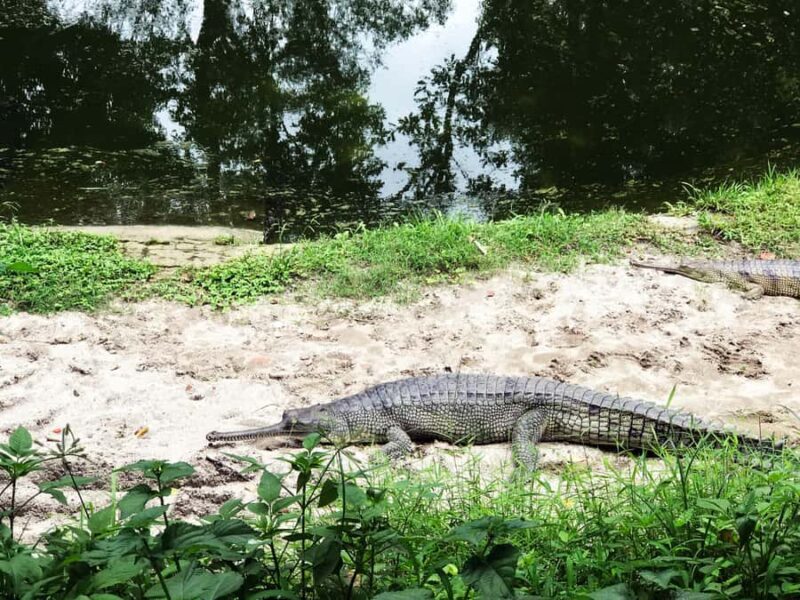 Kathmandu: Central Zoo Tour - FAQs