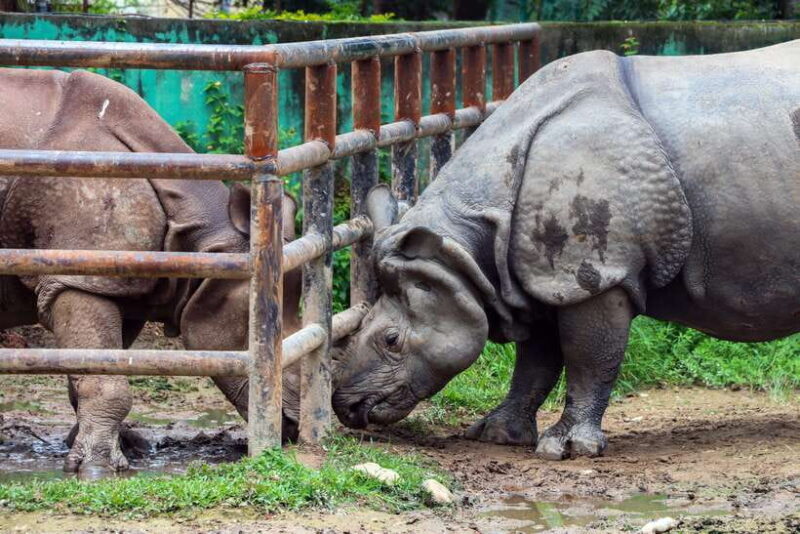 Kathmandu: Central Zoo Tour - An In-Depth Look at the Central Zoo Tour