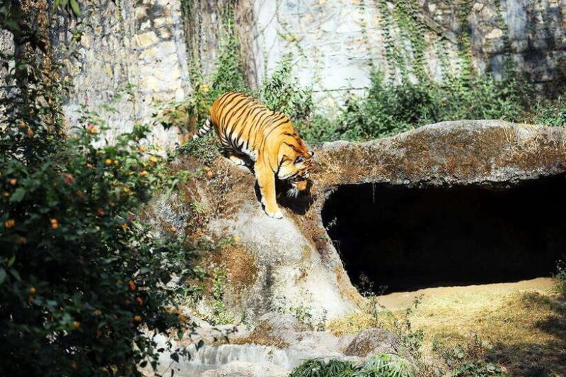 Kathmandu: Central Zoo Tour - Final Thoughts on Value and Suitability
