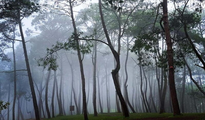 Kathmandu: Champadevi Hill Guided Hike with Lunch - How the Tour Is Managed