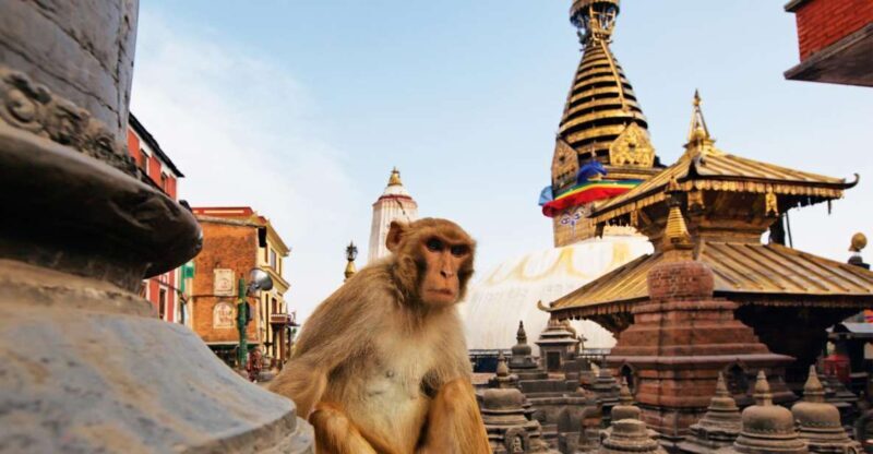 Kathmandu: Chandragiri cable car & Swayambhunath Tour - Final Thoughts: Who Will Love This Tour?