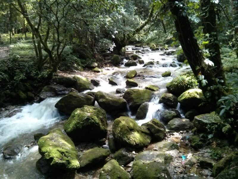 Kathmandu: Chisapani Nagarkot 3-Days 2-Nights Trek - Exploring the Itinerary: Day by Day