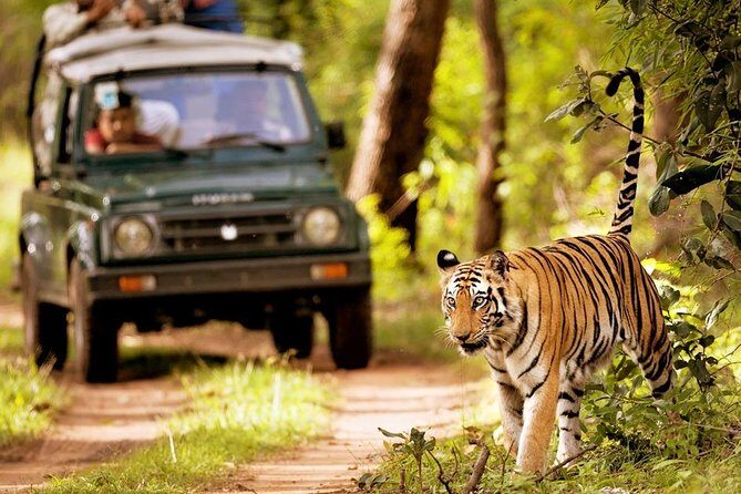 Kathmandu & Chitwan: A 6-Day Nepal Adventure - An In-Depth Look at the 6-Day Nepal Experience