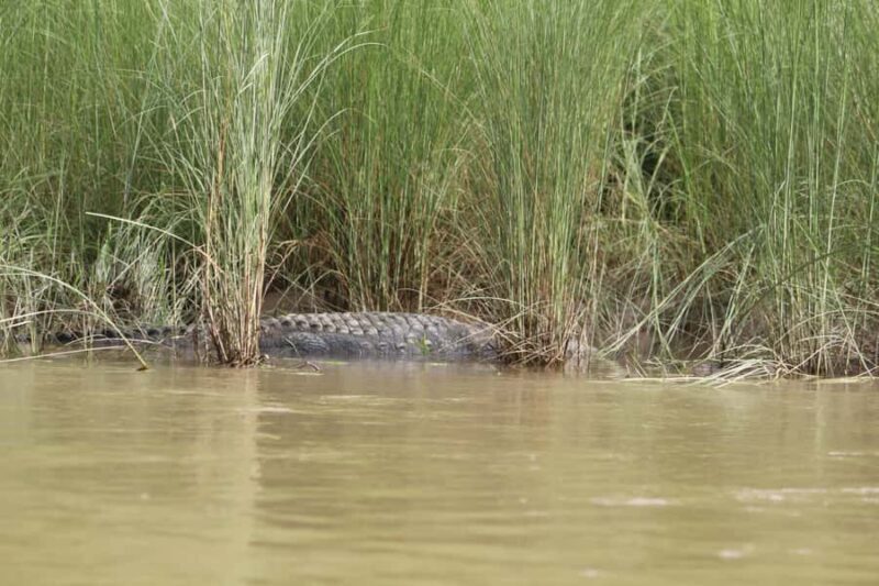 Kathmandu: Chitwan National Park & Lumbini 4-Day Tour - Exploring the 4-Day Experience