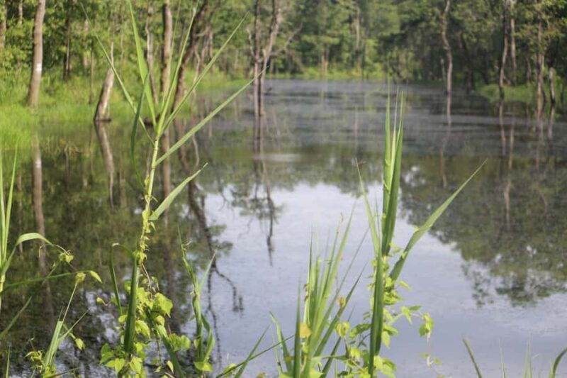 Kathmandu: Chitwan National Park & Lumbini 4-Day Tour - Final Thoughts: Who Should Consider This Tour?