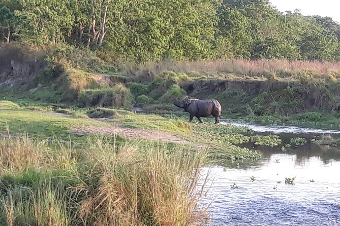 Kathmandu Cultural Tour and Wildlife in Bardia - Our Final Take