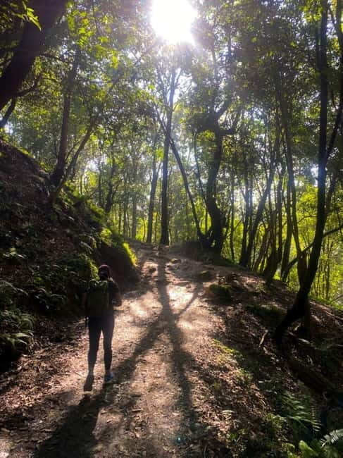 Kathmandu: Day Hike with Breakfast and Lunch - Key Points