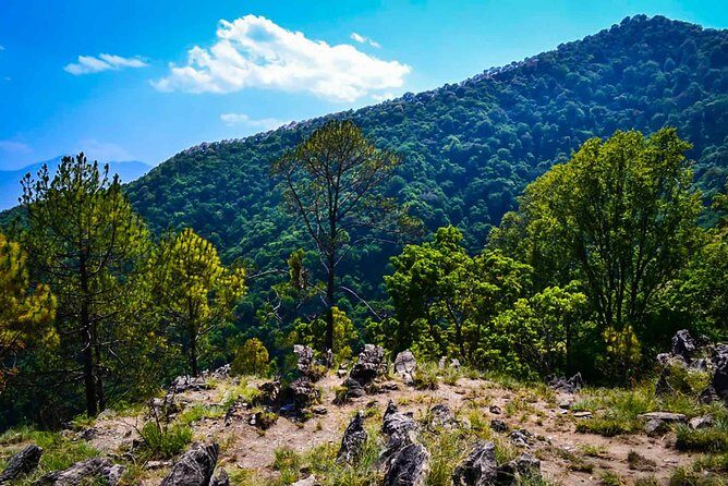 Kathmandu: Day hiking trip to Jamacho Hill Shivapuri NationalPark - FAQ
