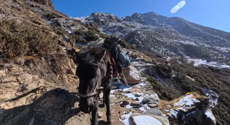 Kathmandu: Dudhkunda Lake 10-Day Trek with Guide - Authenticity and Cultural Experience