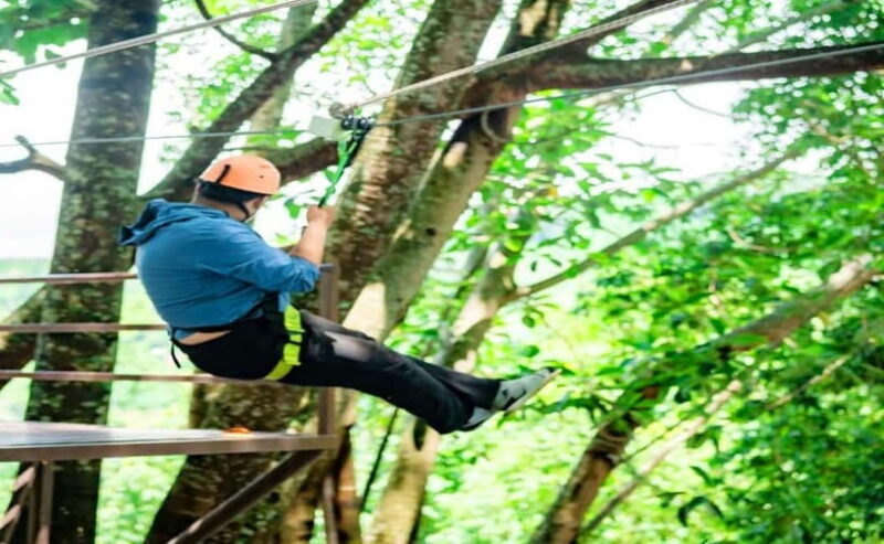Kathmandu: Forest Adventure by Tarakeshwor Hike with Lunch - Exploring the Detailed Itinerary