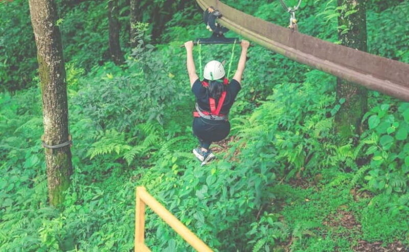 Kathmandu: Forest Adventure by Tarakeshwor Hike with Lunch - What’s Included and What to Budget For