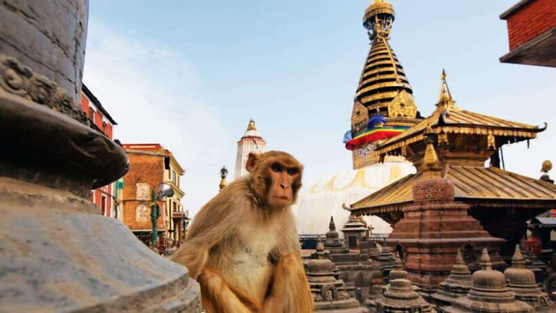 Kathmandu: Full-Day Budget Bus Tour of Kathmandu Valley - Who Should Consider This Tour?