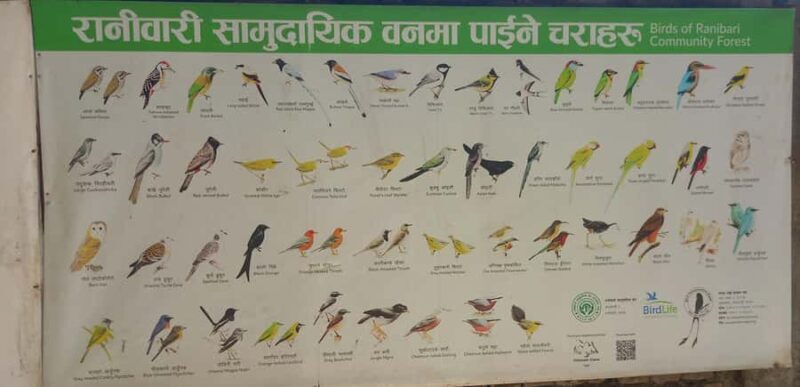 Kathmandu: Green Park & Waterfalls Tour - Kathmandu: Green Park & Waterfalls Tour – A Natural Escape in the Heart of Nepal