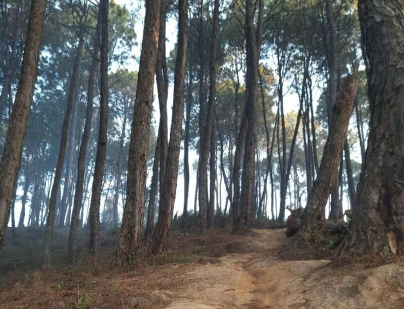 Kathmandu: Guided White Gumba Monastery Walk - The Sum Up