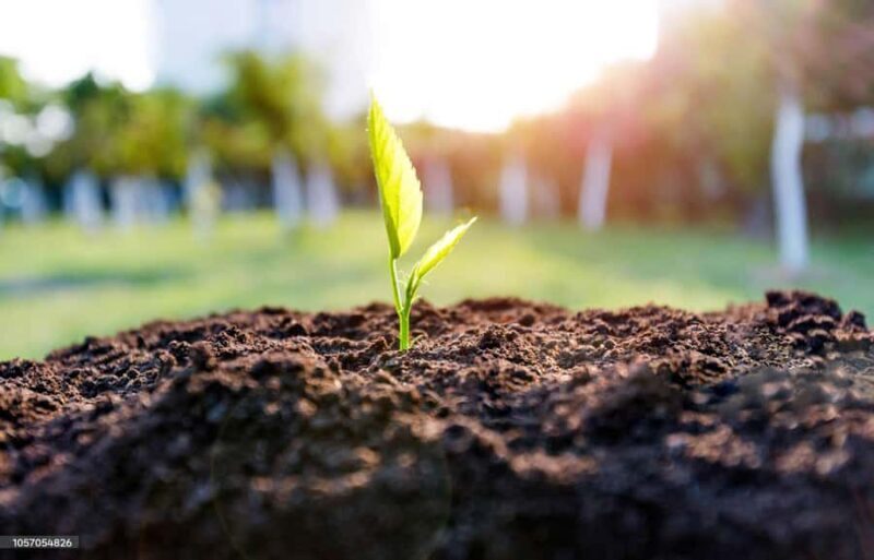 Kathmandu: Hike JamaChwok & Tree Planting for carbon neutral - Key Points