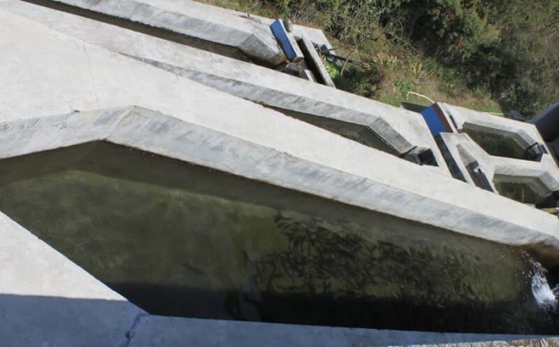 Kathmandu: Himalayan Viewpoint & Trout Fishing Tour - Key Points