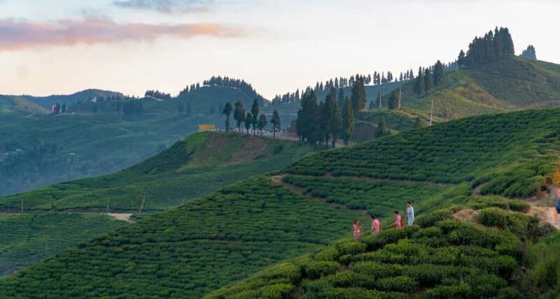 Kathmandu: Ilam Tea Garden & Sunrise 3-Day Tour - Introduction: A Calm Escape with Stunning Views