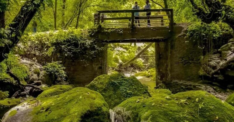 Kathmandu: Jamacho( Nagarjung Danda) Day Hike - What’s Included and What’s Not